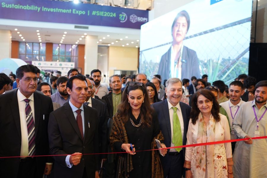 Pakistan faced significant challenges from climate change: acting ...